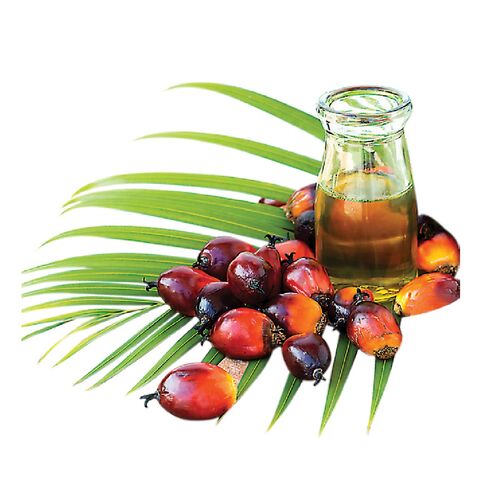 Buy United States Wholesale Buy Refined Palm Oil / Red Palm Oil / Crude ...