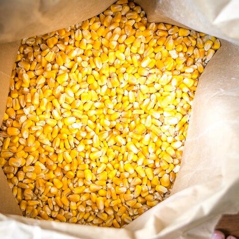 Bulk Buy Canada Wholesale Ready To Load Dried Yellow Corn Animal Feed ...
