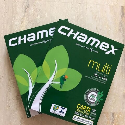 Bulk Buy Germany Wholesale Papel A4 75g Eco Chamex Copy Paper 80gsm ...
