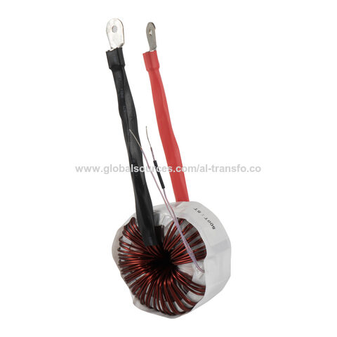 Single Toroidal Autotransformer 5kva 48v To 230v Customized Transformer ...