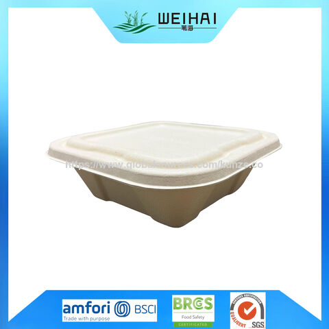 Bagasse Food Box Disposable Square Sugarcane Bagasse Food Packaging ...