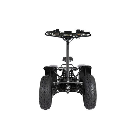 4wd/2wd 4-motor Heavy Duty Standing Electric Off-road Scooter For ...