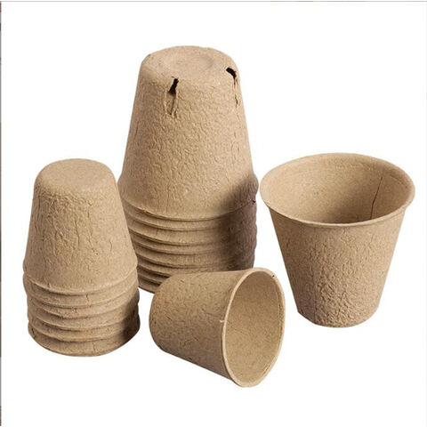 Factory Direct Sales Thickened Nutrition Cup Seed Growing Cup - China ...