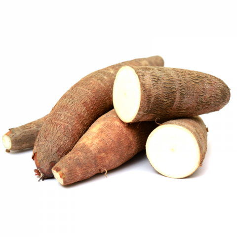 Fresh Cassava/fresh Cassava Root - Cassava - Best Price For Sale ...