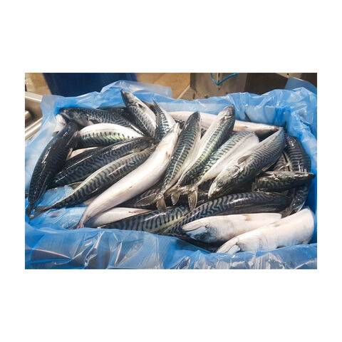 Cpu Ceramic Processor Scrap - Expore Thailand Wholesale Processor Scraps/ceramic Cpu Scrap and ...