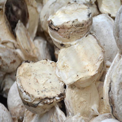 Bulk Buy United States Wholesale Good Grade Natural Raw Rubber Cup Lump ...