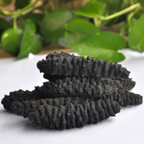 Natural High Quality Dried And Frozen Sea Cucumber $100 - Wholesale ...