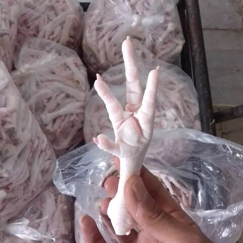 Frozen Chicken Paws And Feet - Expore India Wholesale Frozen Chicken ...