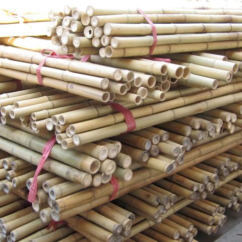 Moso Bamboo Cane Bamboo Pole For Decoration And Construction - China ...