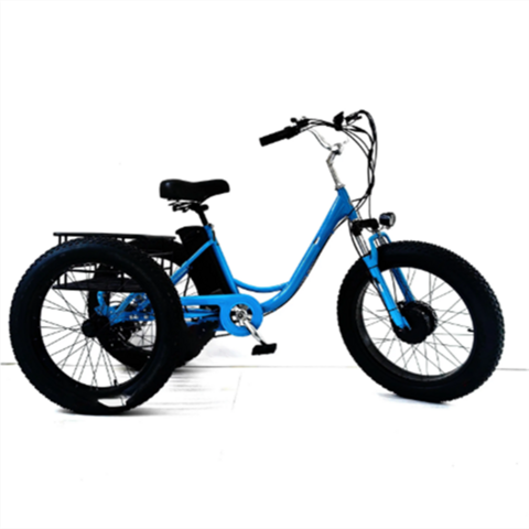 3 Wheel Tricicle Electrico Rickshaw Cargo Trike Electric Bike With ...