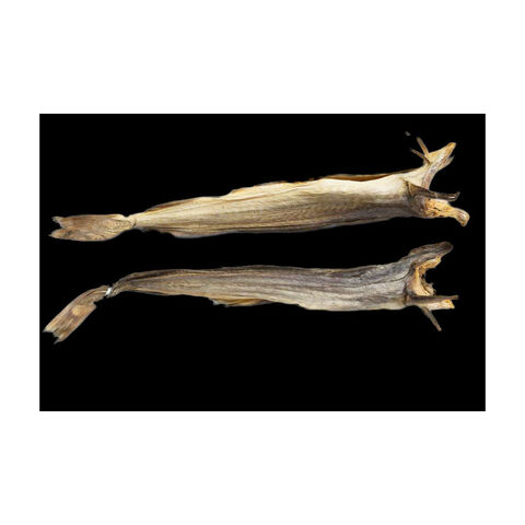 Bulk Buy United States Wholesale Whole Sale Quality Stockfish Head ...
