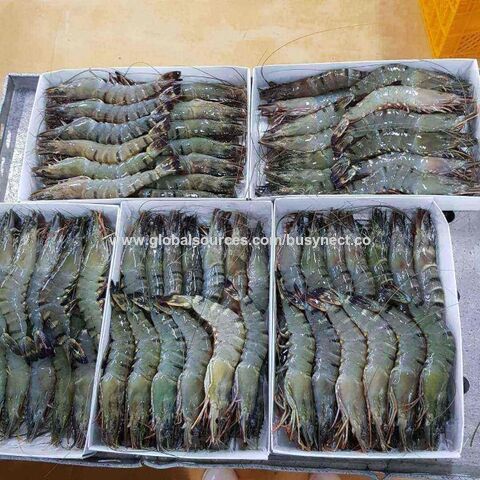 Seafood, Mud Crab, Cuttlefish, Tuna, Ribbon Fish, Sardine Fish, Octopus ...
