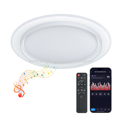 Minimalist Tuya Wifi Led Ceiling Lights Smart Home Rgbic Led Flush ...