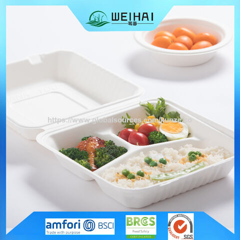 Dinner Set Dinnerware Set Takeaway Tableware Biodegradable Food ...
