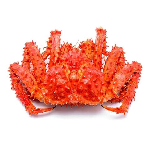 Quality Fresh/frozen/live Red King Crabs, Soft Shell Crabs For Sale ...