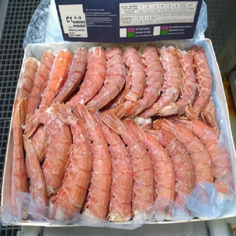Buy United States Wholesale Vannamies Shrimp/ Frozen Red Prawns Frozen ...