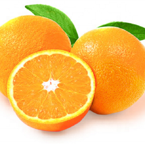 For Sale Wholesale Delicious Sweet For Sale Orange Oranges Fresh Orange ...