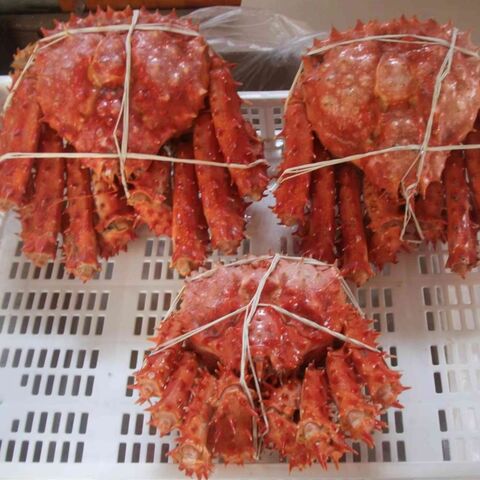 Bulk Buy United States Wholesale Red King Crab Frozen King Crab Food ...