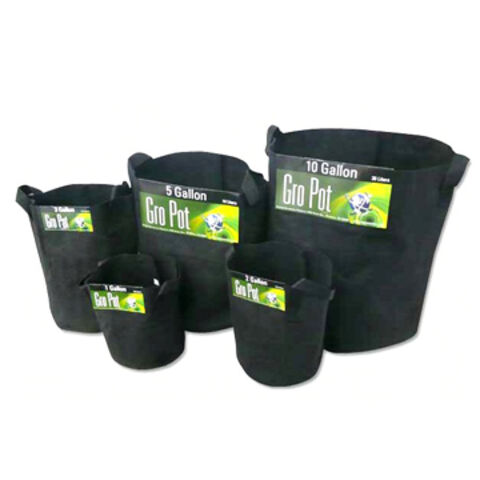 Oyster Mushroom Grow Bag Reusable, Various Sizes And Colors Available ...