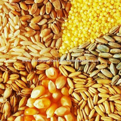 Buy Kazakhstan Wholesale Wheat Grain Class 3, 4, 5 - High Quality ...