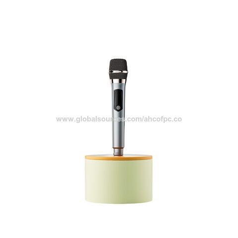 Two Mic Dynamic Microfono Inalambrico Profesional Handheld Cordless ...