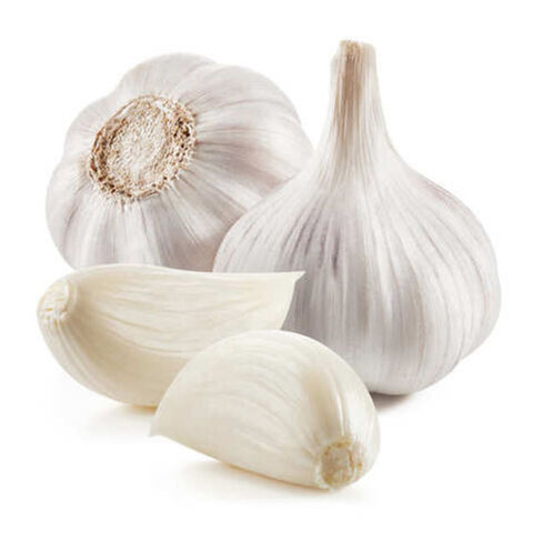Best Selling Pure Fresh White Garlic And Normal Garlic/ Premium Quality ...