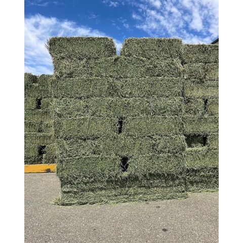 Bulk Buy United States Wholesale Our Alfalfa Hay Bales That Is Widely ...