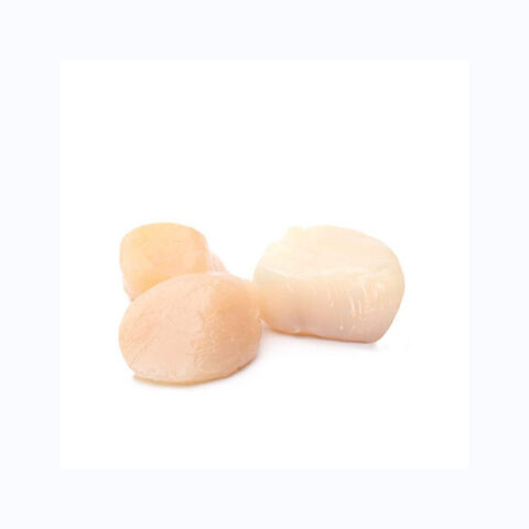 Bulk Buy Canada Wholesale New Crop Frozen Scallop For Sale Frozen High ...