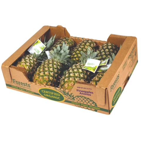 Sweet Fresh Pineapples Fruit Shipping Carton Packaging Packing ...