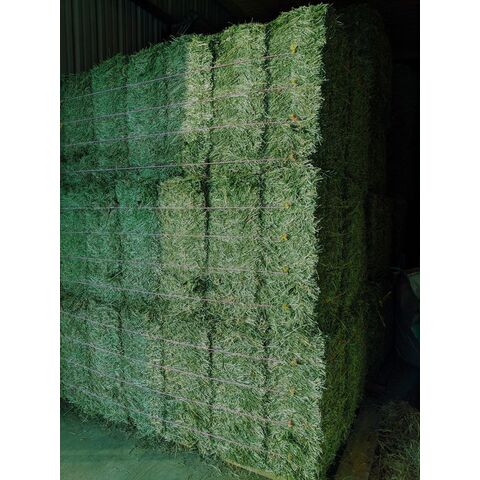 Quality Alfalfa Hay Bays / Alfalfa Pellets / Dehydrated Alfalfa Cubes ...