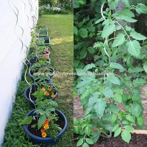 Durable Metal Climbing Plant Support Garden Tomato Spiral Stakes Green ...