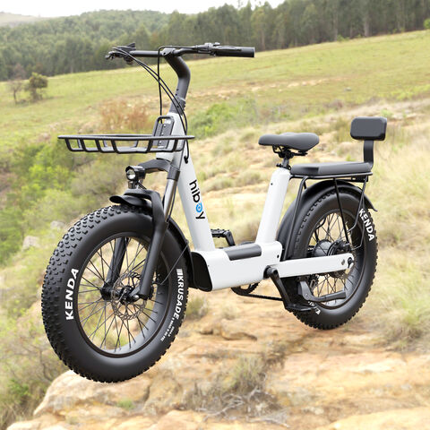 Hiboy M4 Large Capacity Battery Electric Vehicle 100-120km Range ...