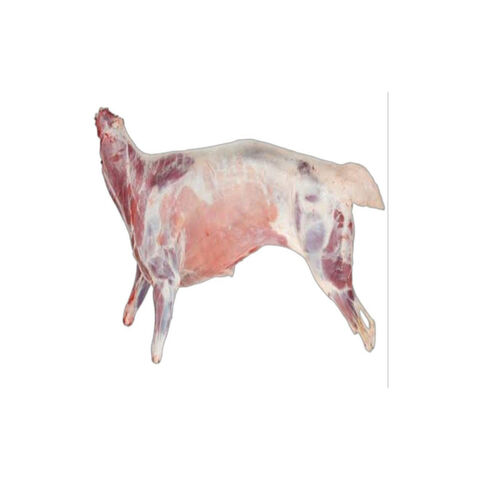 Fresh Chilled Goat Mutton Meat/ Lamb Meat Carcass Ready For Export - Expore Poland Wholesale ...