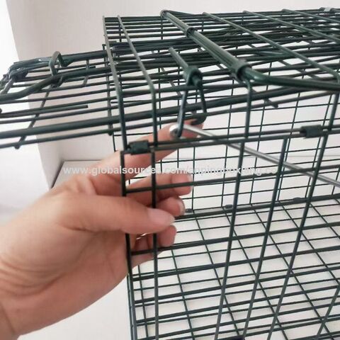 Catch Wild Animal Cage Traps Cat Trap Cage Animal Trap Cage, Stainless ...