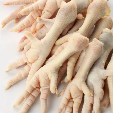 High Quality Organic Frozen Chicken Paws Whole Body Part Including Fat ...
