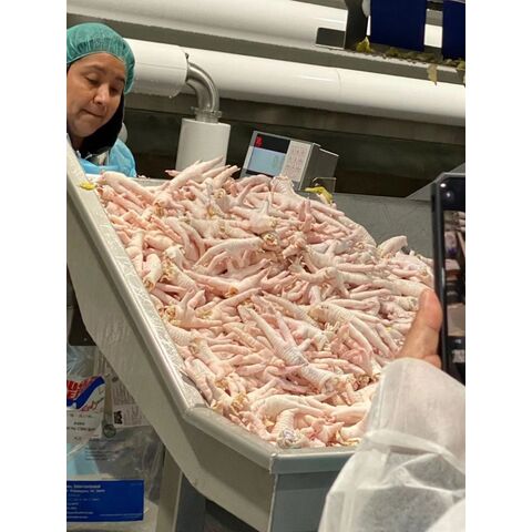 Bulk Buy United States Wholesale Frozen Chicken Feet Good Quality ...