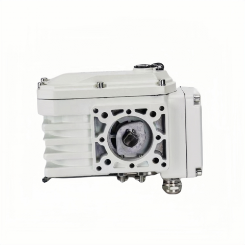 Intelligent Electric Actuator Ac220v24v Analog Controller For Ball ...
