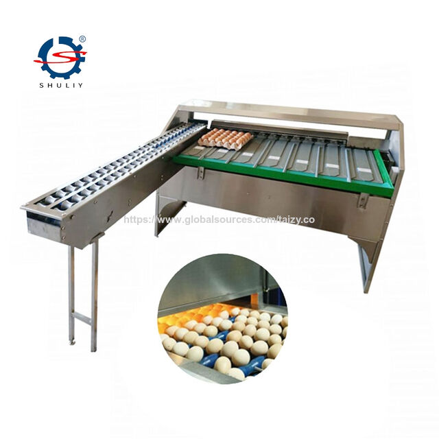 Automatic Egg Sorting Machine/egg Grading Machine/egg Processing ...