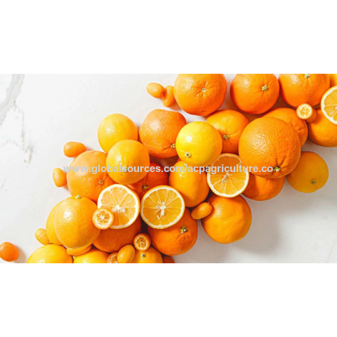 Buy Oranges In Bulk For Cheap Prices With High Quality - Thailand ...