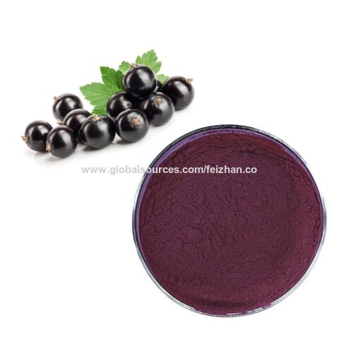 Best Price Food Grade Blackcurrant Extract - Anthocyanin Powder ...