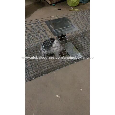 Buy China Wholesale Heavy Duty Live Animal Trap Cage Collapsible ...