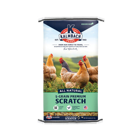 Factory Direct High Quality South Africa Wholesale Chicken Concentrate ...