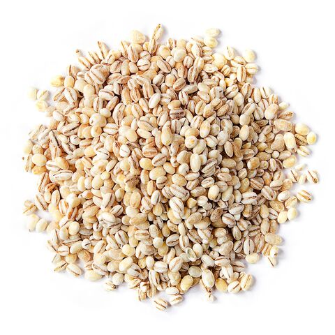 100% Malt Barley, Hulled Barley, Pearl Barley For Sale Animal Feed And ...