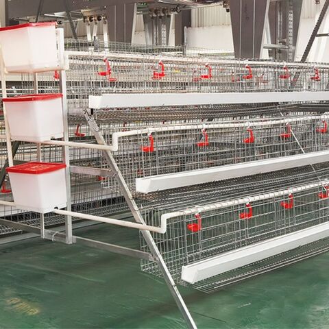 Layer Chicken Cage, Layer Poultry Birds Poultry Farm Equipment Chicken ...