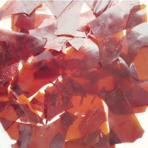 Good Price Natural Shellac Flake Powder Seedlac Cas 9000-59-3 - China ...