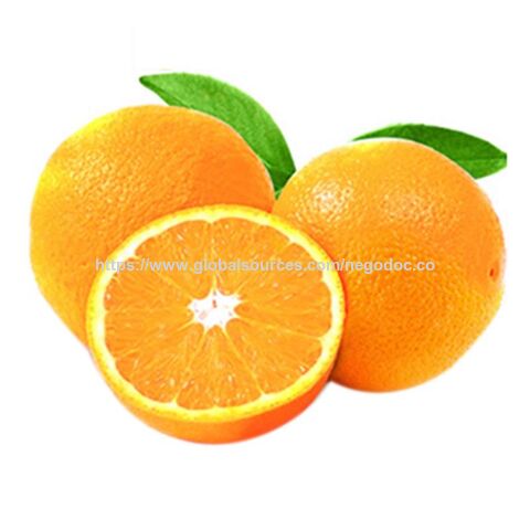 Healthy Fresh Citrus Fruit | Fresh Valencia Orange/ Navel Orange ...