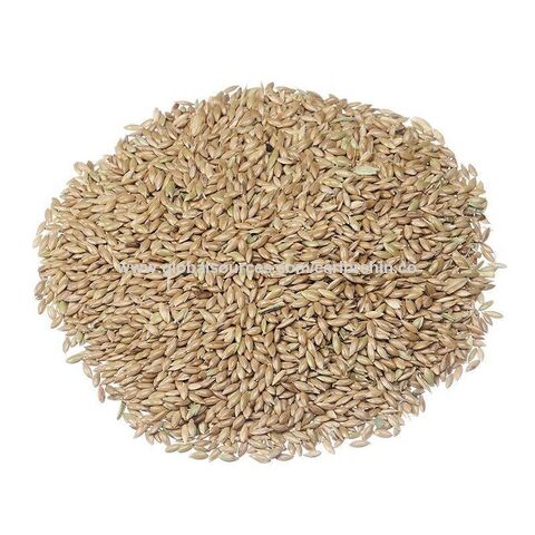 Quality Wholesale Supplier Of Animal Feed Grade Organic Canary Seeds ...