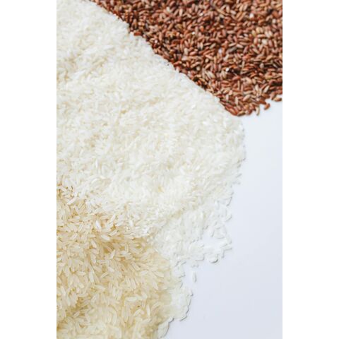 Premium Quality Thai Rice Jasmine Rice/thai Jasmine Rice $467 ...