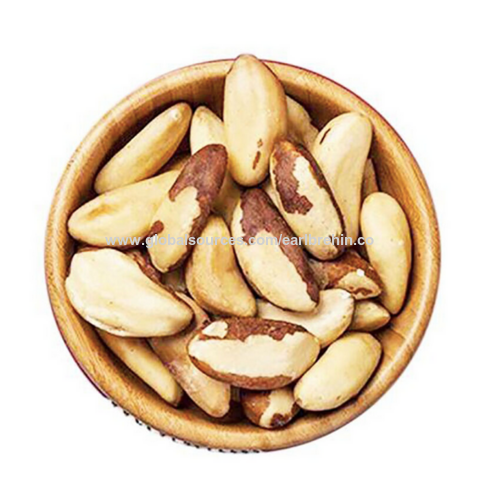 Buy France Wholesale Wholesale Price Natural Brazil Nuts For Sale & Raw ...