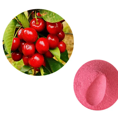 Professional Oem Service Eu Organic Acerola Juice Powder Sour Cherry ...